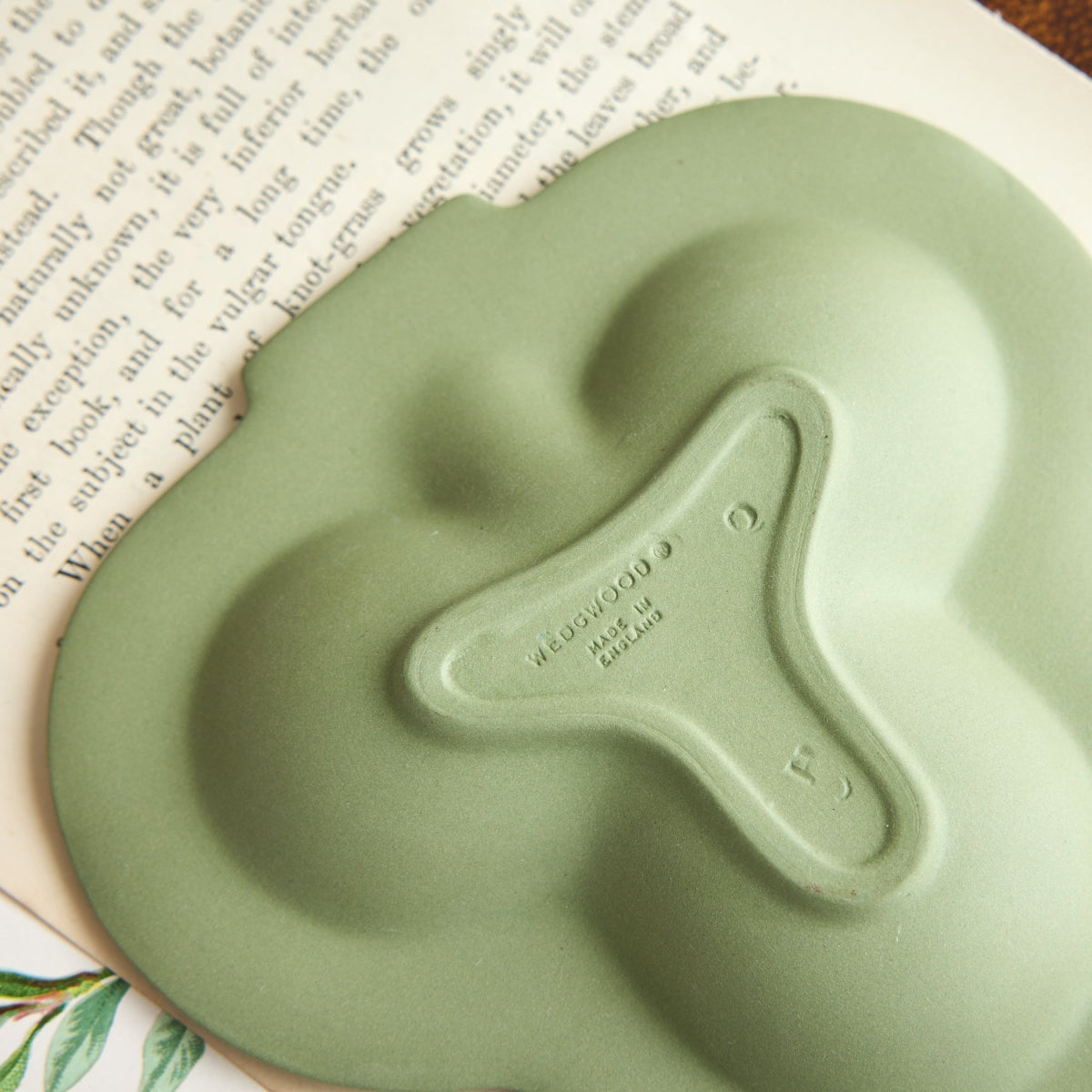 Wedgwood Jasper Clover | Caitlin Wilson