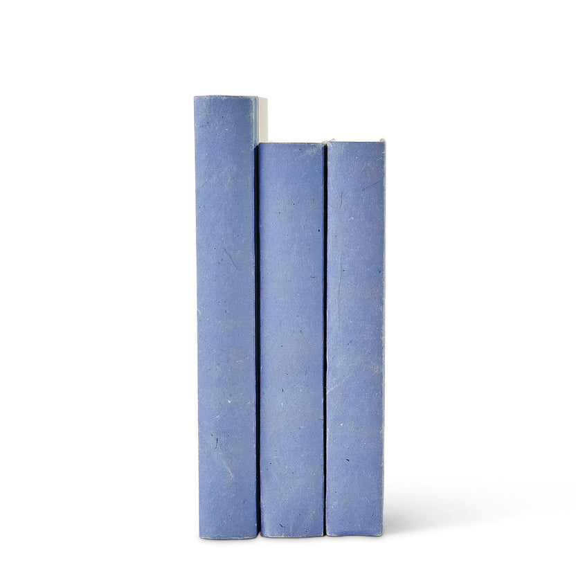 Cornflower Blue Parchment Decorative Book Set | Caitlin Wilson