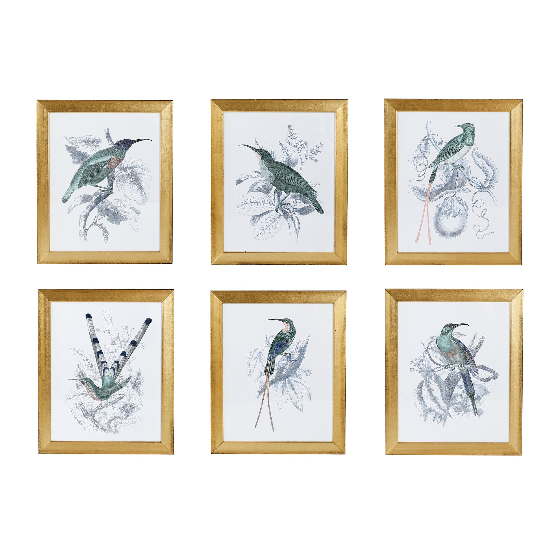 Hummingbird Print Set | Caitlin Wilson